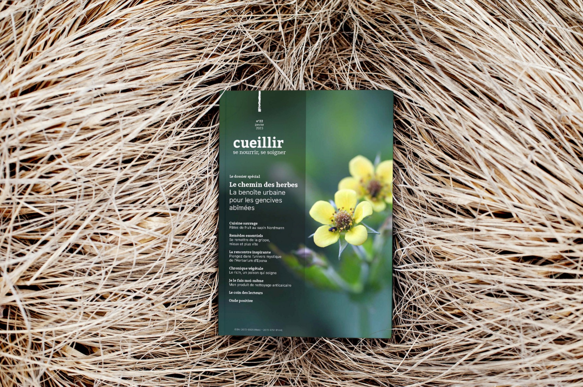 Nos revues - TSA Publications